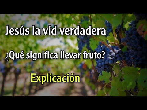 JESÚS LA VID VERDADERA ¿QUÉ SIGNIFICA LLEVAR FRUTO? | EXPLICACIÓN ...