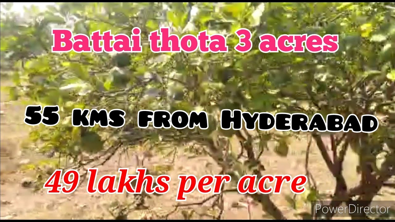 Battai thota 3 acres 55 kms from Hyderabad 49 lakhs per acre - YouTube
