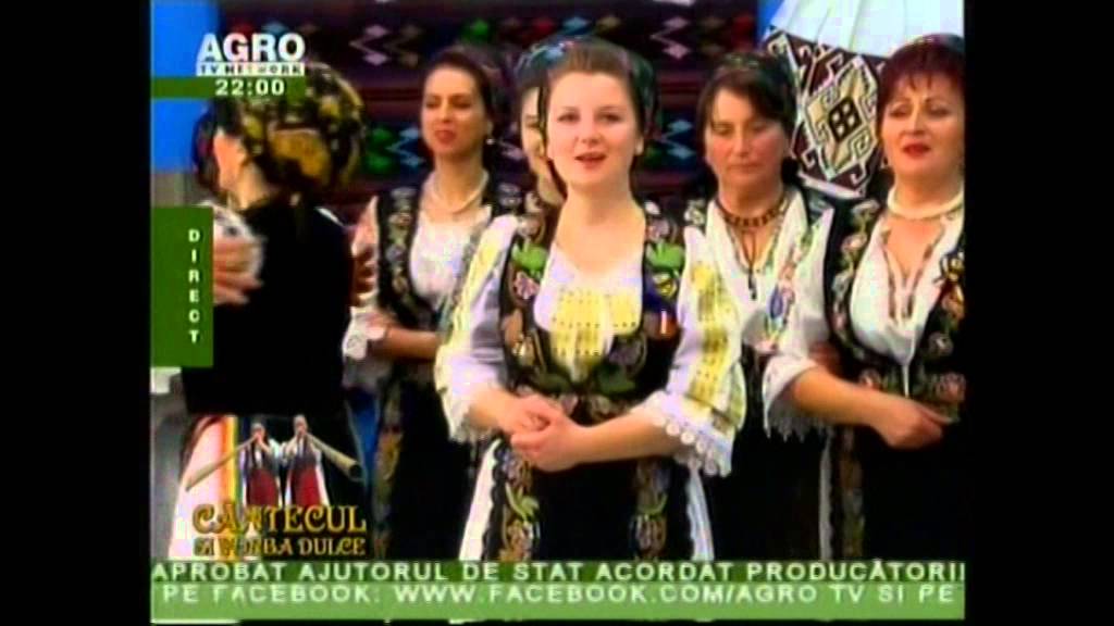 DANIELA CHIRTES - Verde ii frunza pe fagi - YouTube