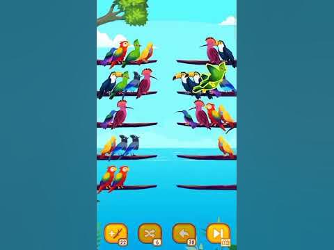 Bird Sorting | Part 40 | ABK Gaming - YouTube