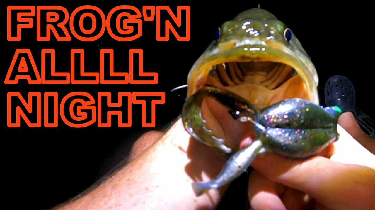 Frogging the Local Pond ALL Night! - (Night Frog Fishing) - YouTube
