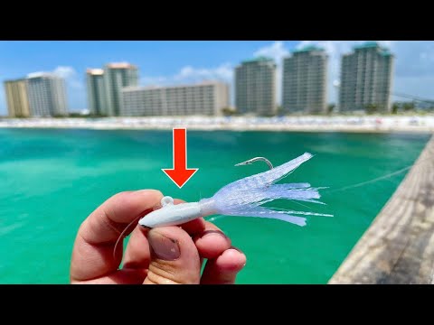 FISHING with a JIG! for my DINNER on this FLORIDA PIER [Catch, Clean, Cook]