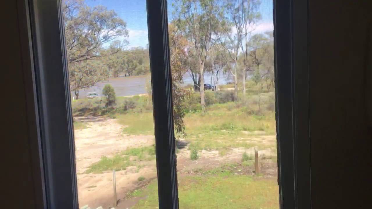 Midge Mesh 1 - YouTube