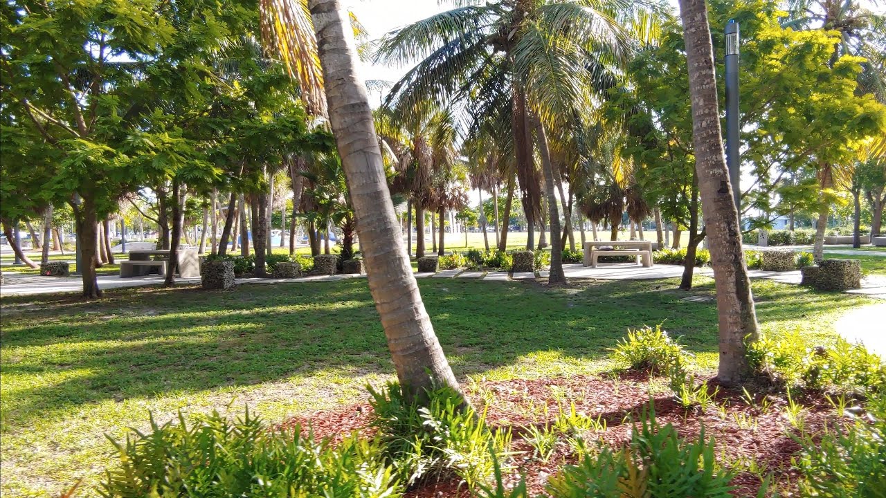 Regatta Park , Coconut Grove , Miami FL , December 2022 - YouTube