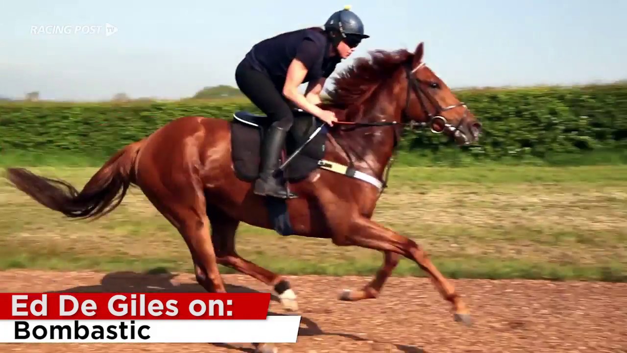 Stable Tour: Ed De Giles - YouTube