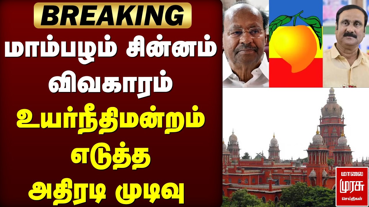 BREAKING : மாம்பழம் சின்னம் விவகாரம் உயர்நீதிமன்றம் எடுத்த அதிரடி ...