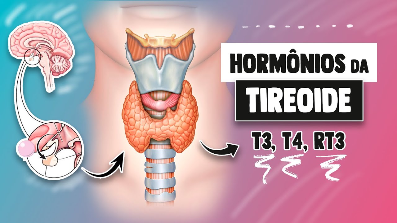 Hormônios metabólicos da Tireoide (T3, T4, RT3) │ Fisiologia Resumida ...
