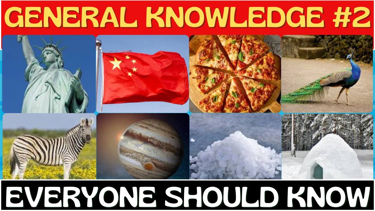 General Knowledge Trivia Quiz #2🧠 | 50 New Questions Everyone Should ...