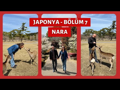 Japonya Seyahati 7.Bölüm: Nara