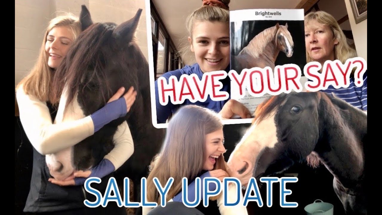 SALLY UPDATE ~ And Welsh Sales vlog prep - YouTube