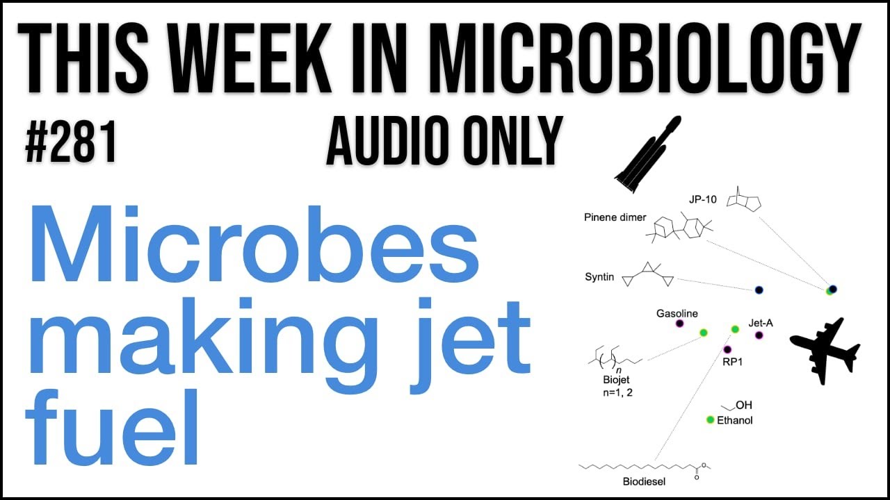 TWiM 281: Microbes making jet fuel - YouTube