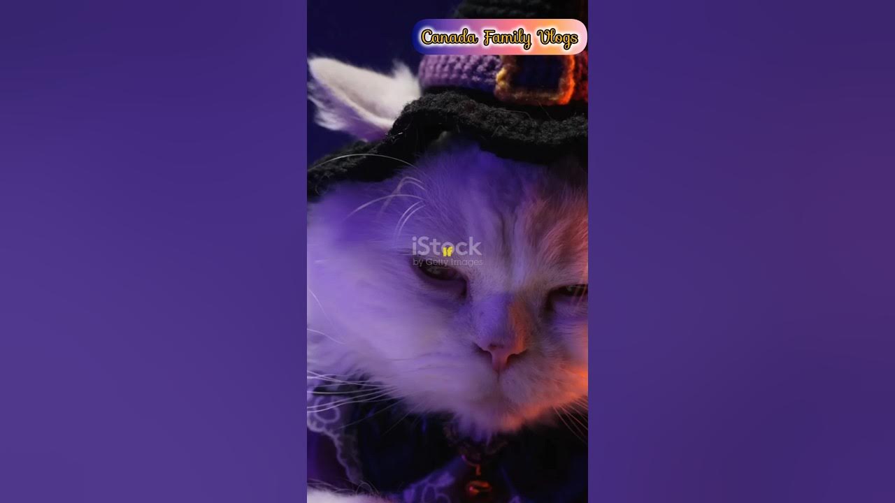 Transformations Ordinary to Extraordinary #transformation #viralvideo # ...