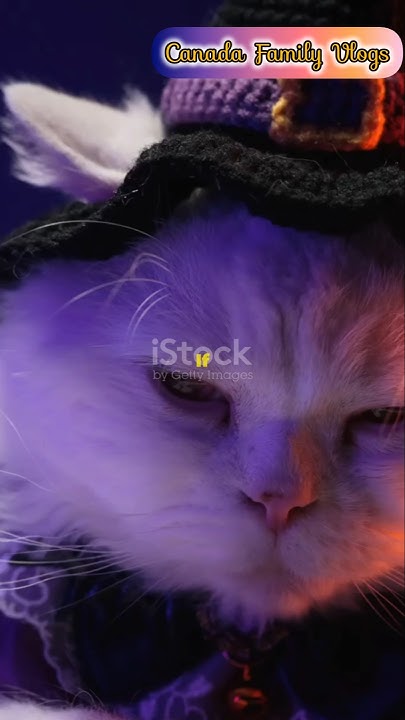 Transformations Ordinary to Extraordinary #transformation #viralvideo # ...