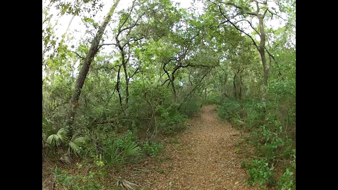 Enjoying The Florida Trail by Rodman Reservoir - YouTube