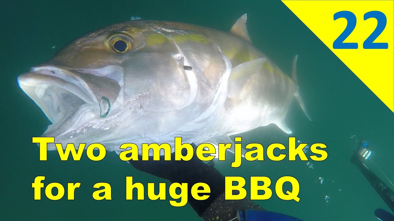 Spearfishing UAE | Two amazing amberjacks for a large BBQ (Dubai) - YouTube