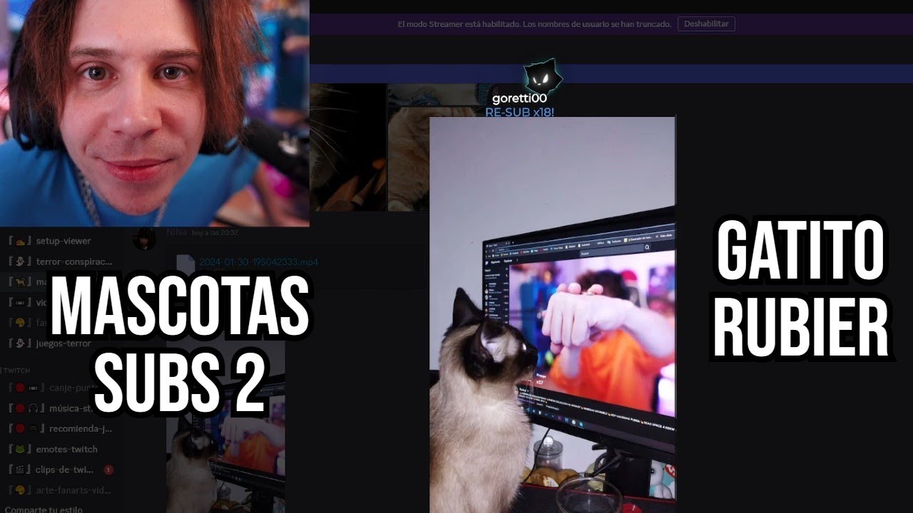 RUBIUS Reacciona a MASCOTAS SUBS el GATO RUBIER - YouTube