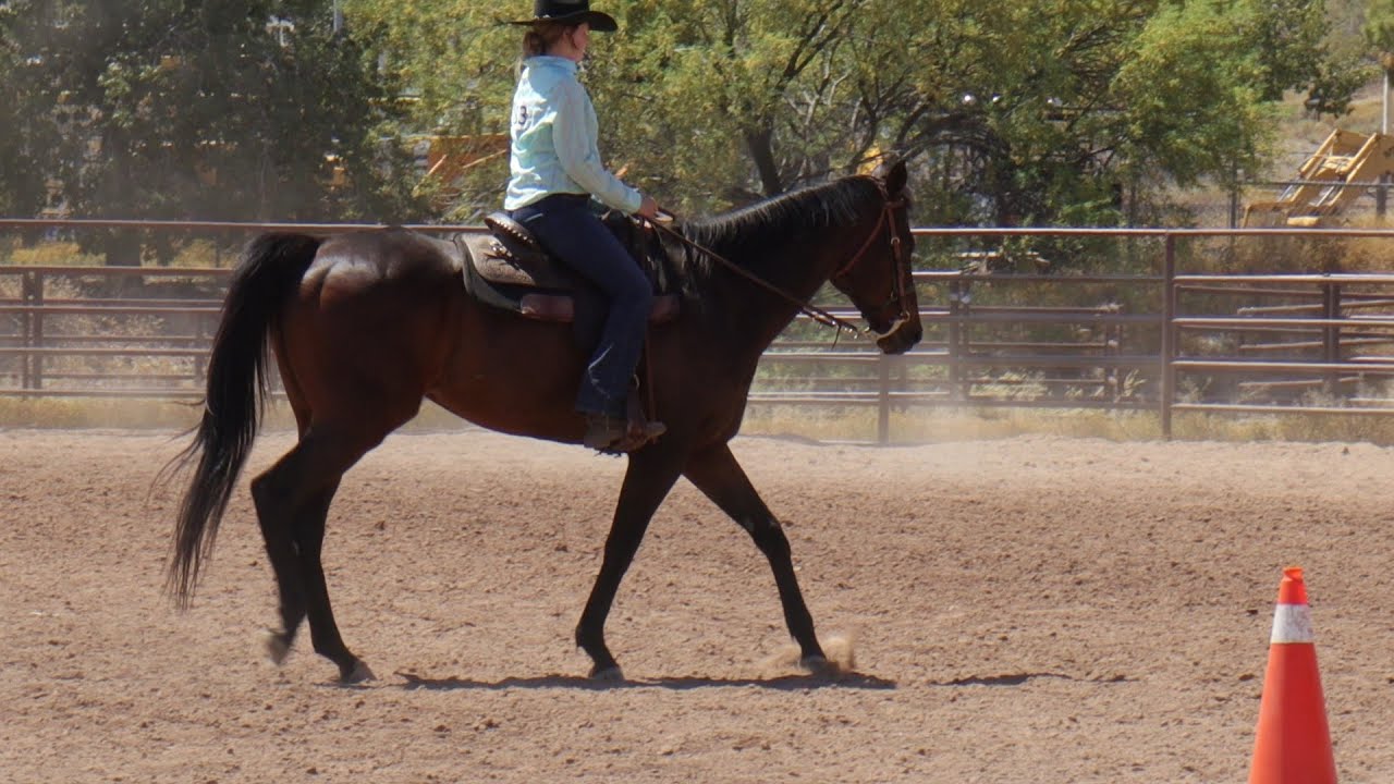 Class 33 - Ranch Pleasure 3-Gaited | Scottsdale Saddle Club - May Horse ...