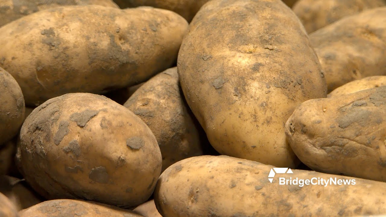 Free Potato Friday at Food Bank | Thursday, August 1, 2024 | Brett ...
