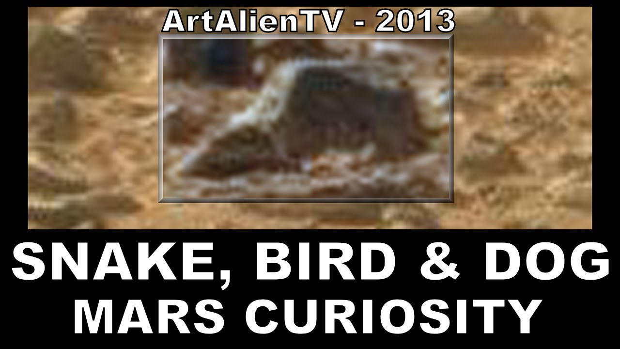 Snake, Bird & Dog on Mars: NASA Curiosity Alien Animal Species ...