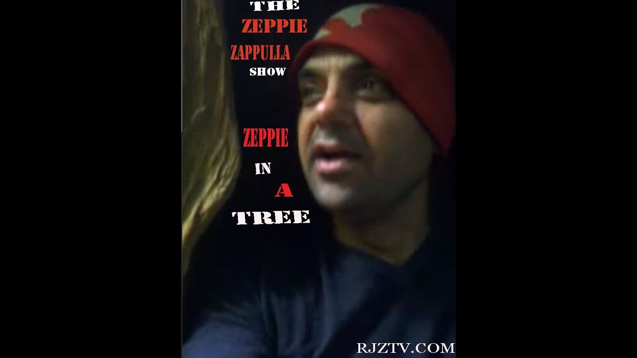 The Zeppie Zappulla Show Episode #3 Zeppie Finds a Tree - YouTube