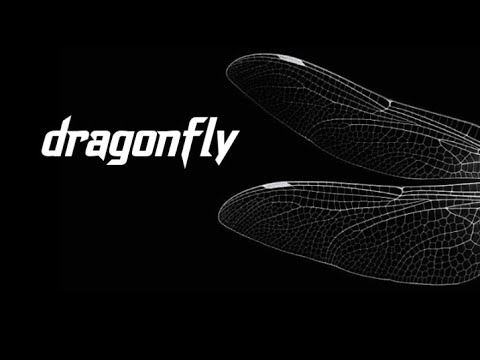 Dragonfly | Chillstep Music | Royalty Free Background Music - YouTube