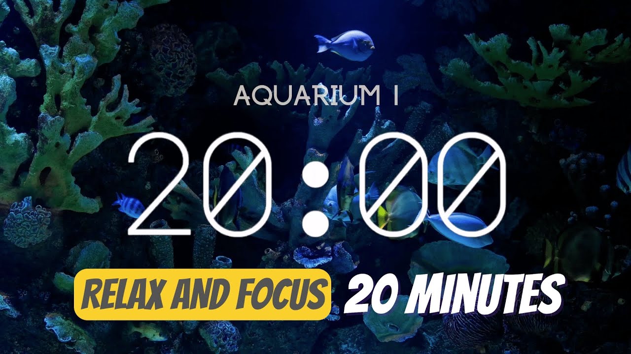 20 minute timer - Relaxing Aquarium atmosphere - YouTube