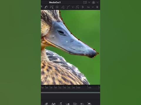 How to use Polygon Mask in Davinci Resolve in 30 seconds - YouTube