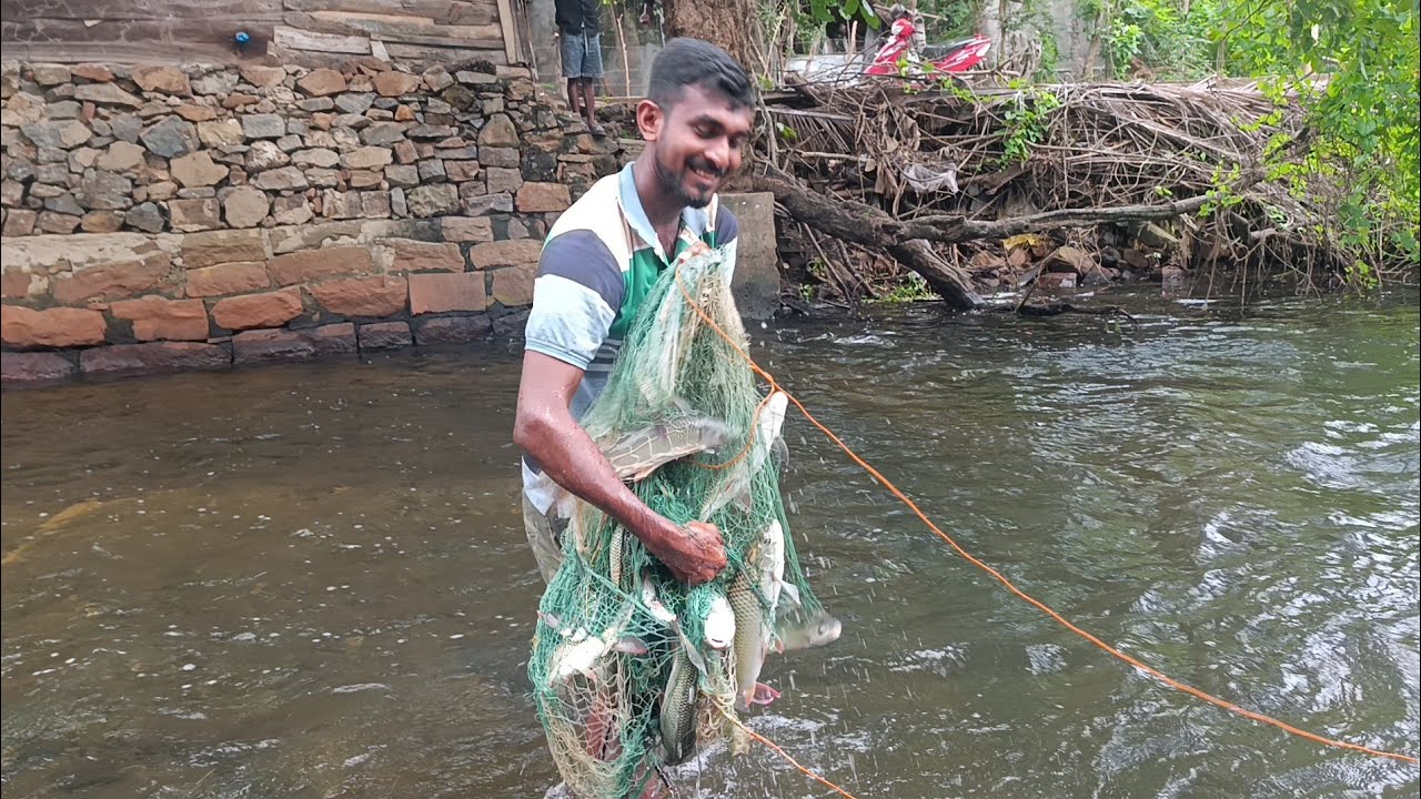වීසි දැලෙන් අල්ලපු මිරිගලය රංචුව @FishingWithSuresh Fishing In Siri ...