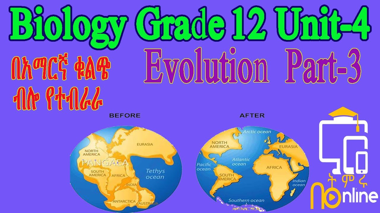 Ethiopian Grade 12 Biology Unit 4 Part 3 Tutorial Darwinism Evolution ethiopian-grade-12-biology-unit-4-part-3-tutorial-darwinism-evolution