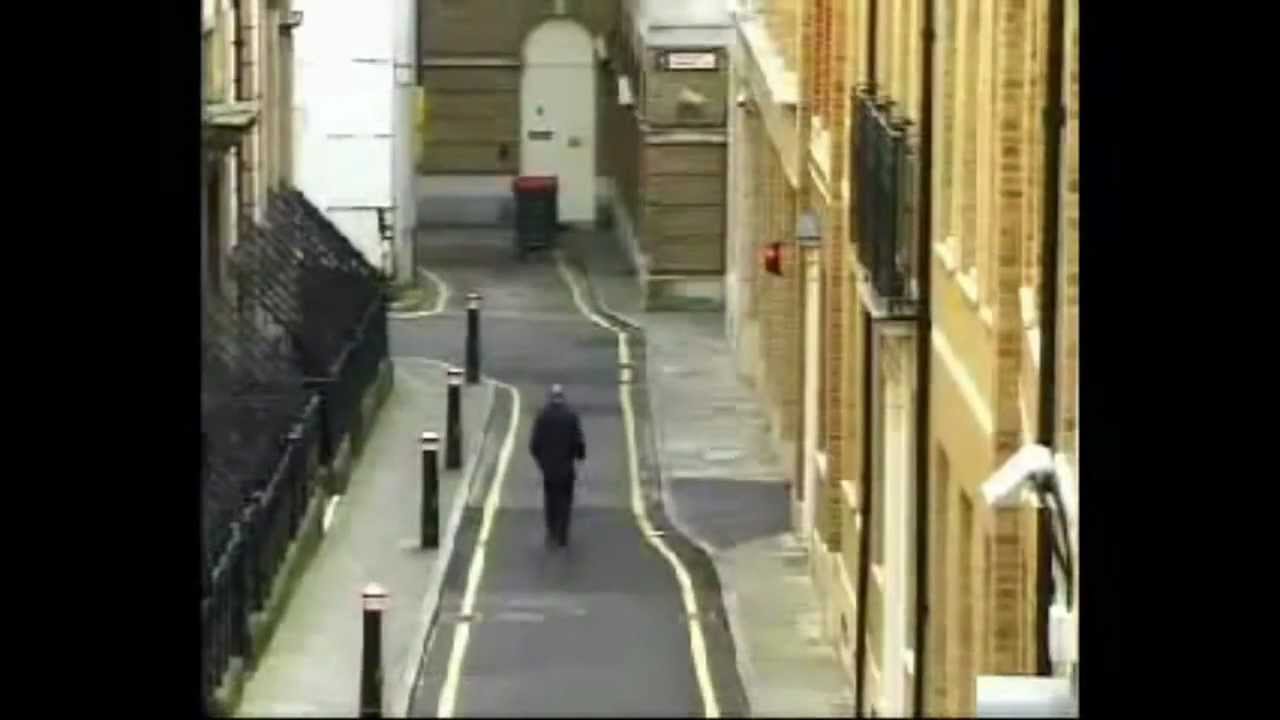 Fenton the dog is back! But not in Richmond Park this time... - YouTube