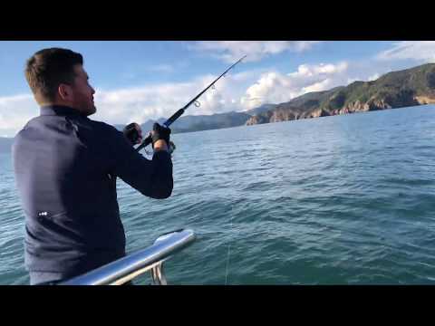 Jig aksiyon 2 #VerticalJiggingTechniques