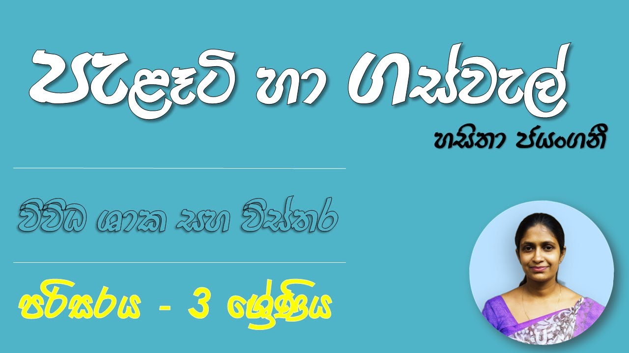 පැළෑටි සහ ගස්වැල් | පරිසරය | 03 ශ්‍රේණිය| පාඩම් 29 | Parisaraya| Grade ...
