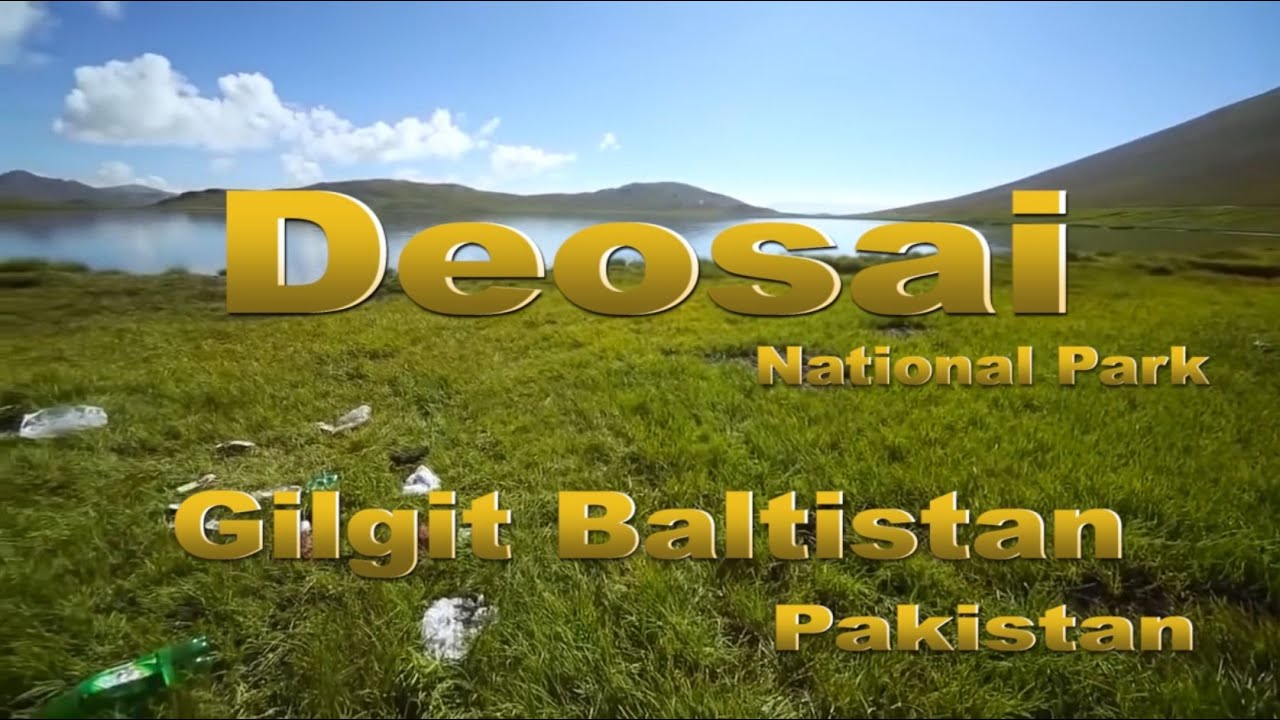 Deosai National Park 4k - Home of Himalayas Brown Bears - YouTube