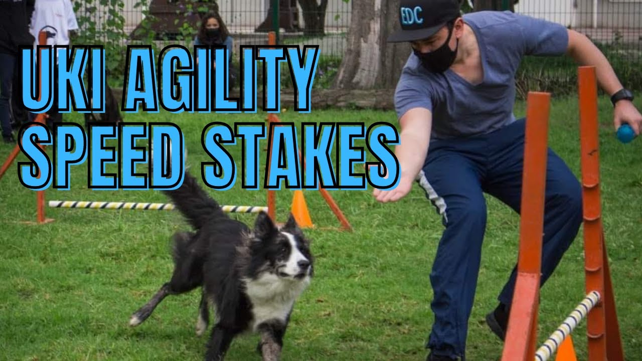Agility UKI SpeedStakes - YouTube