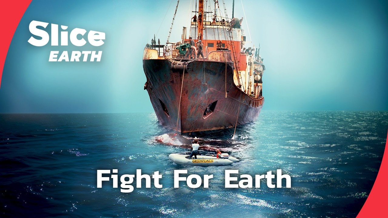 The Origins of Greenpeace: When Activism Meets Action | SLICE EARTH ...