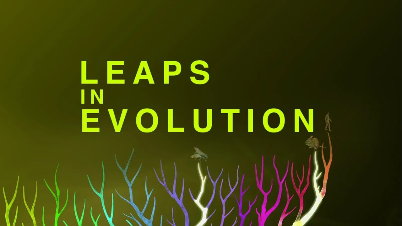 Leaps In Evolution: Series 1 - Creation Of Motherly Love - YouTube