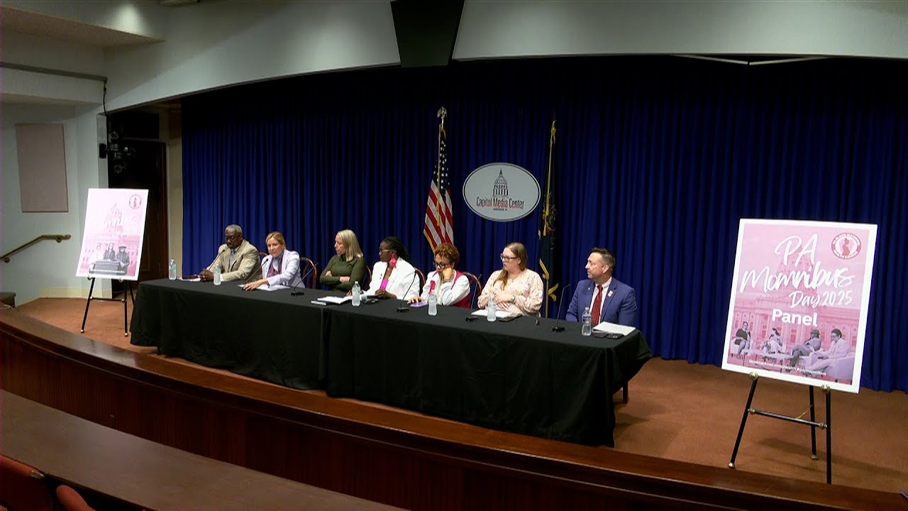 Shusterman Joins BMHC Momnibus Discussion - YouTube