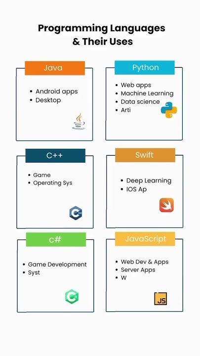Programming Languages & Their Uses - YouTube