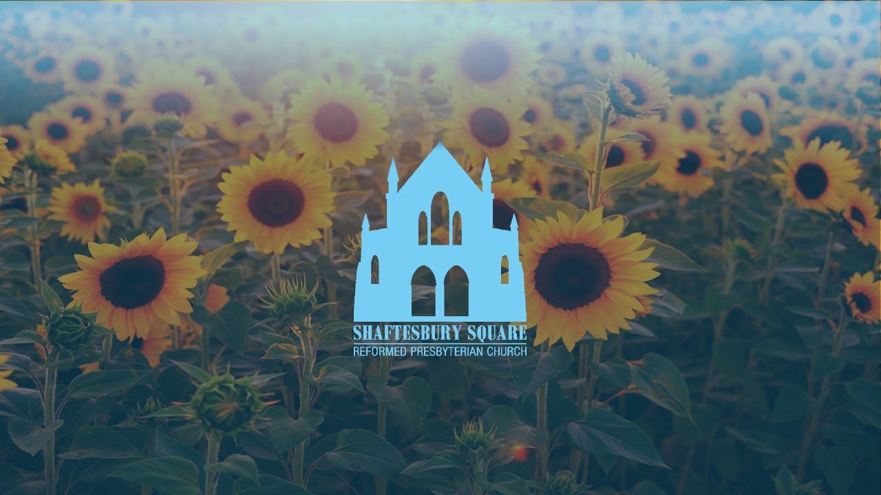 To God be the glory, Romans 11:33-36 , SSRPC 30/6/24 Evening Service ...