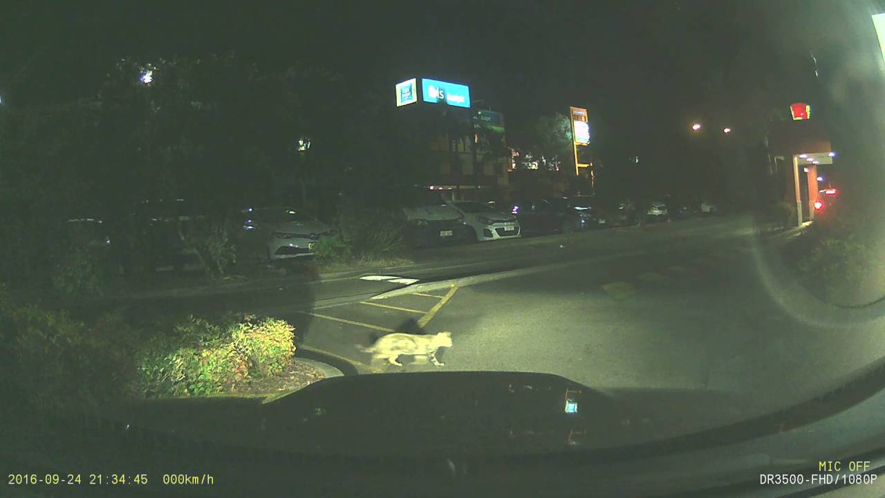 Enfield KFC Kitty.. - YouTube