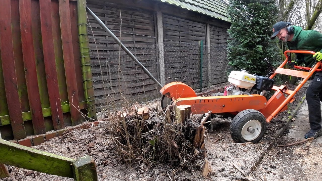 A Full Day of GRINDING| Best SHOULDER Workout ever - YouTube