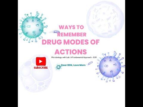 Drug Modes Of Action- WGU D311 Microbiology - YouTube