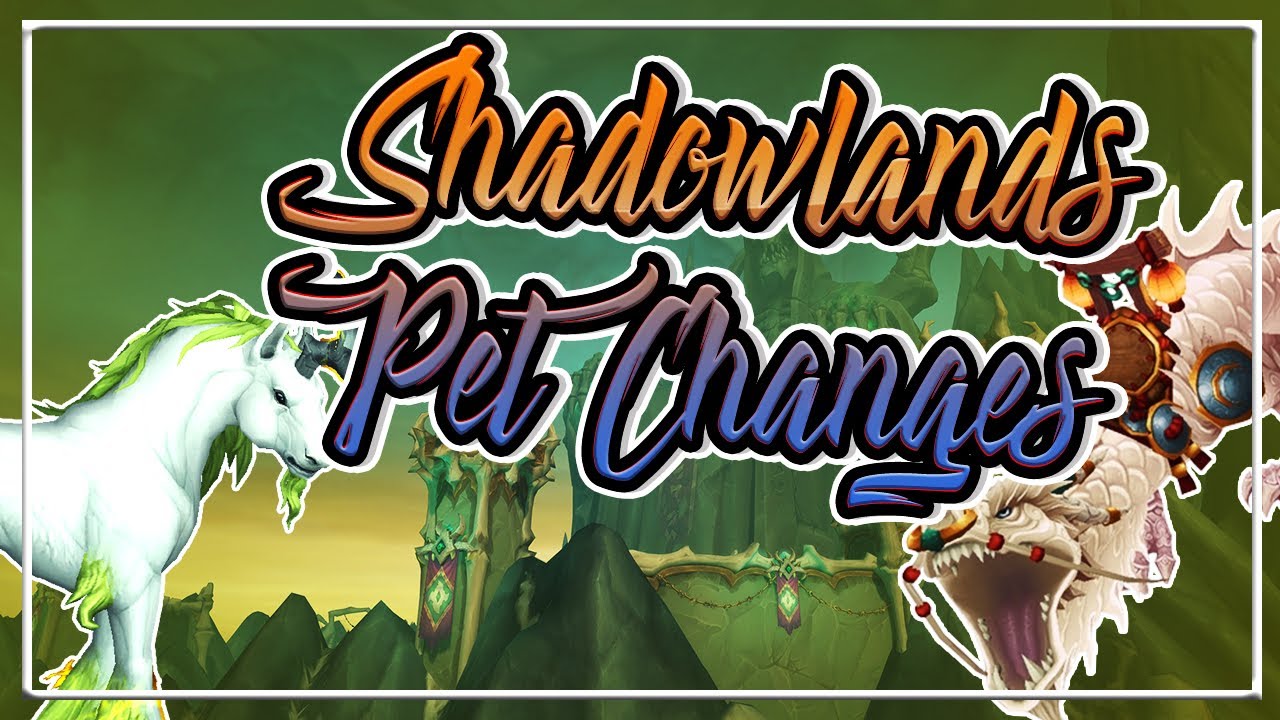 ALL SHADOWLANDS HUNTER PET CHANGES│Shadowlands - YouTube