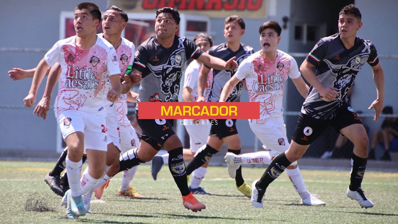 La Tribu de Ciudad Juárez vs Toros - YouTube