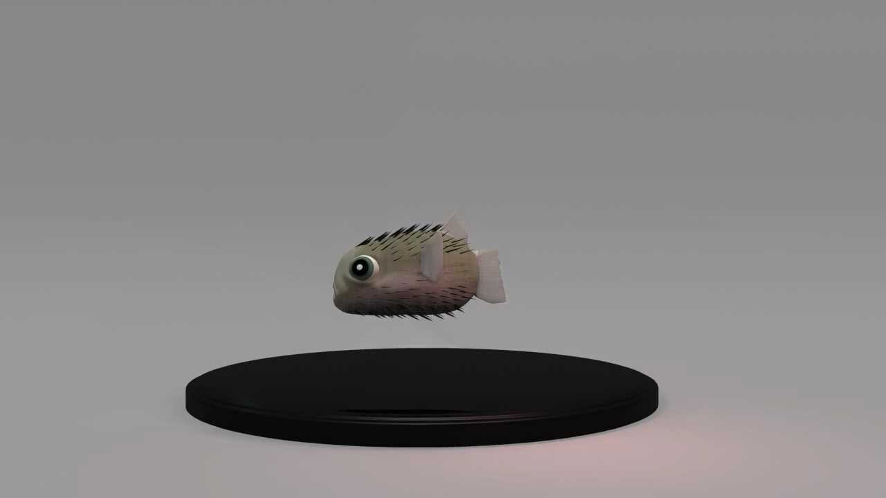 Small puffer fish turn around. - YouTube