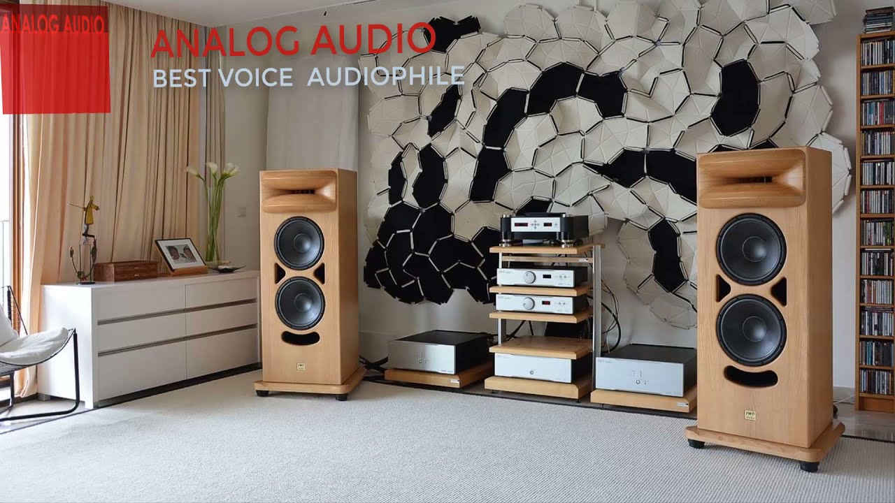 BEST VOICE AUDIOPHILE ANALOG _ANALOG AUDIO - YouTube