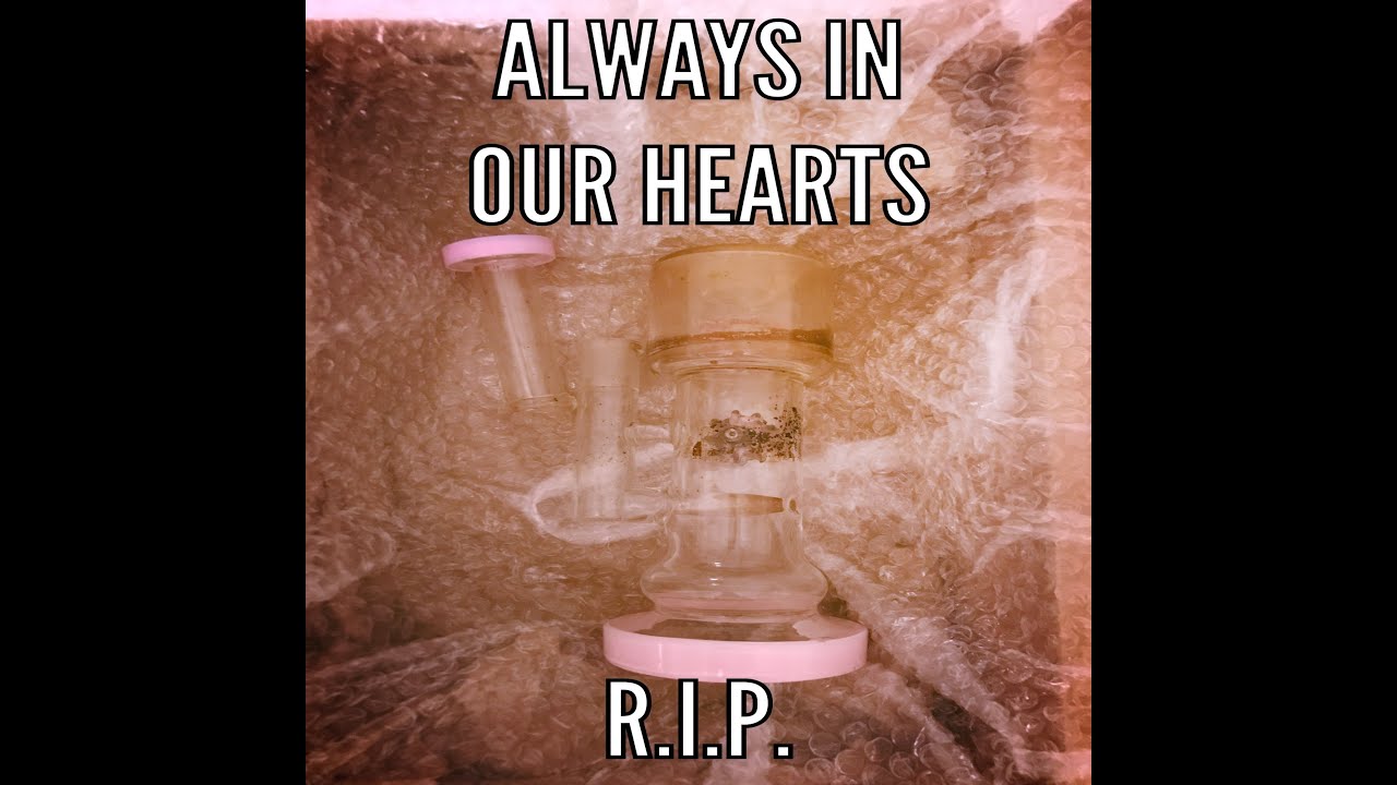 R.I.P. Pink Pinwheel Bong (Folgers) [Visualizer] - YouTube