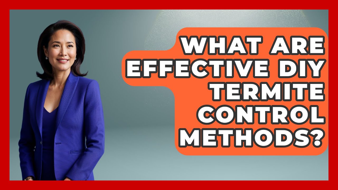 What Are Effective DIY Termite Control Methods? | Insects and Invaders ...