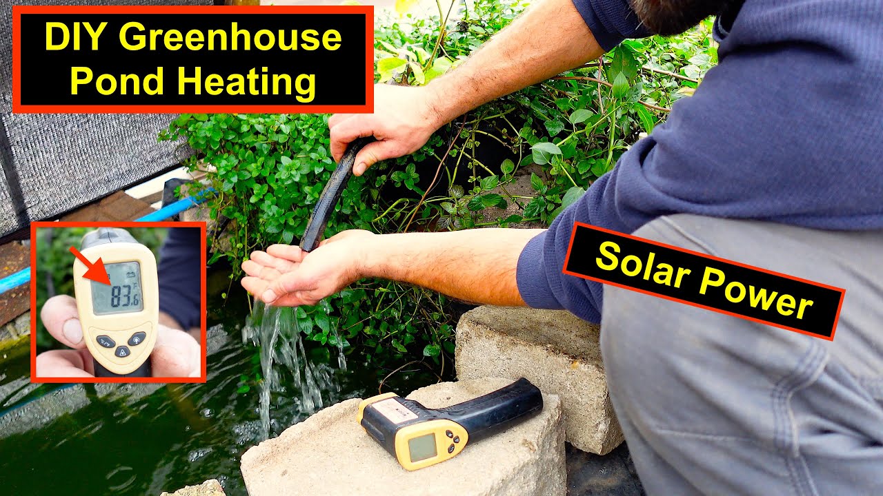 CHEAP Greenhouse Pond Heater DIY - Heating The Pond With Compost - Part ...