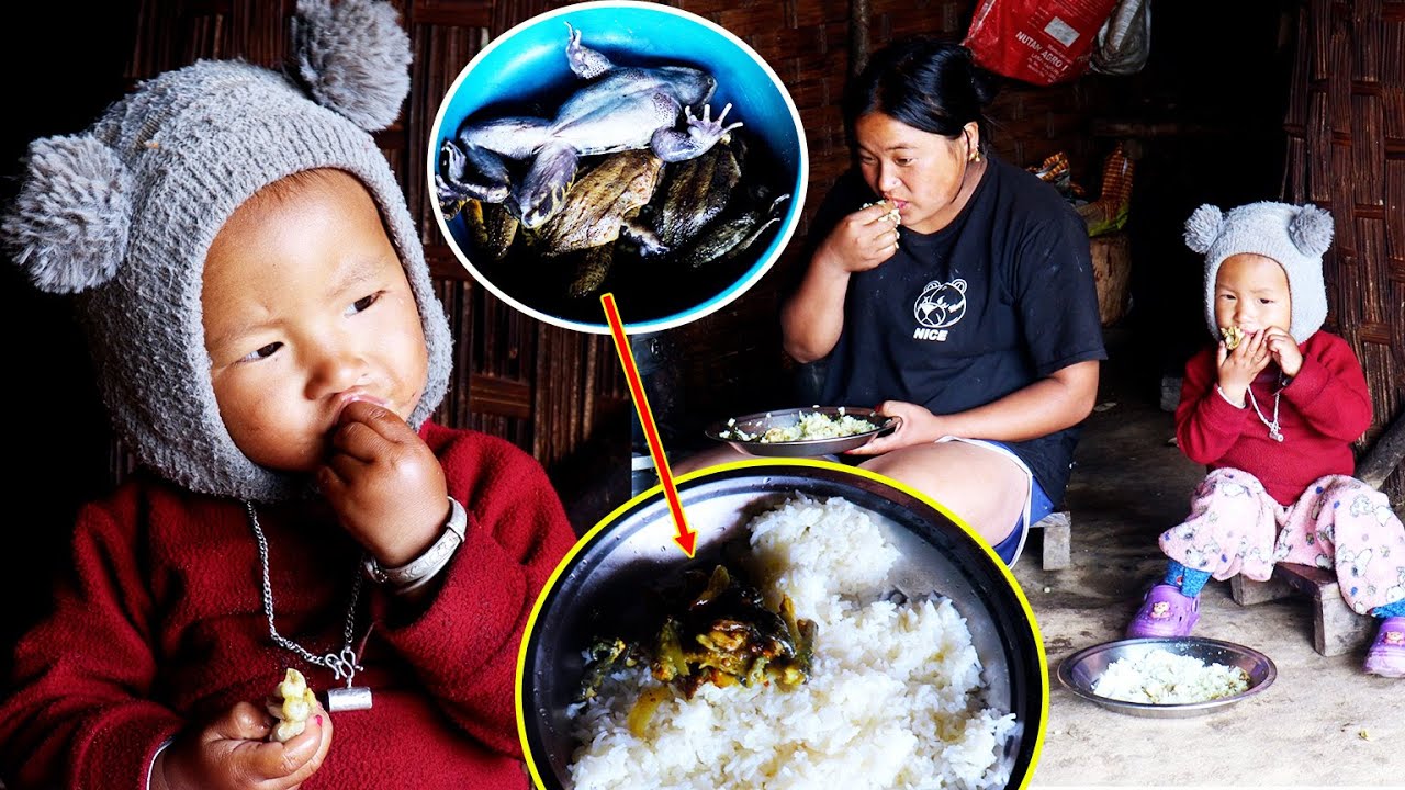 Jonson loves bullfrog curry & RICE II High nutrient food BULLFROG in ...